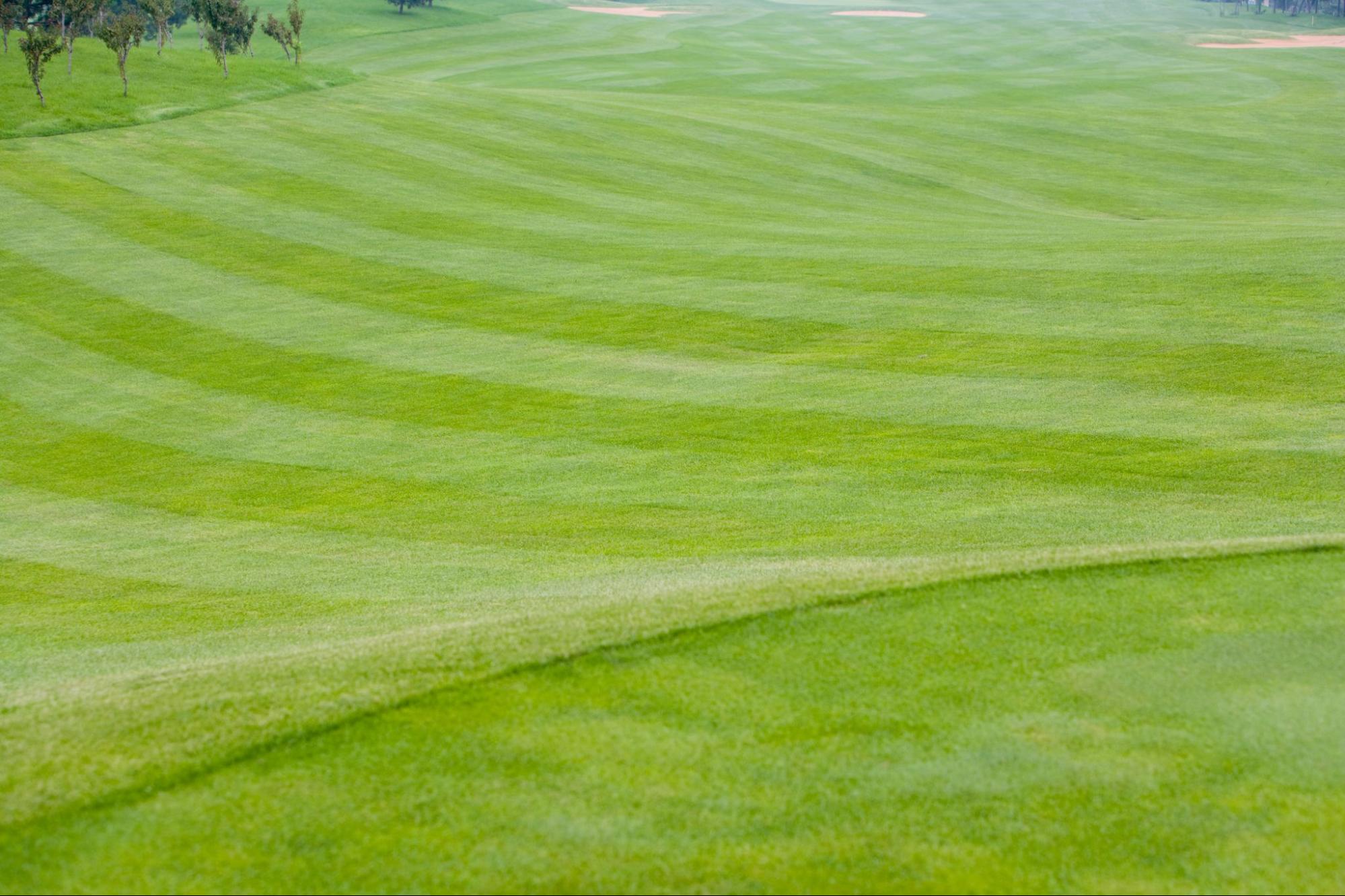 How Often Do Golf Courses Fertilize - Golfer Start