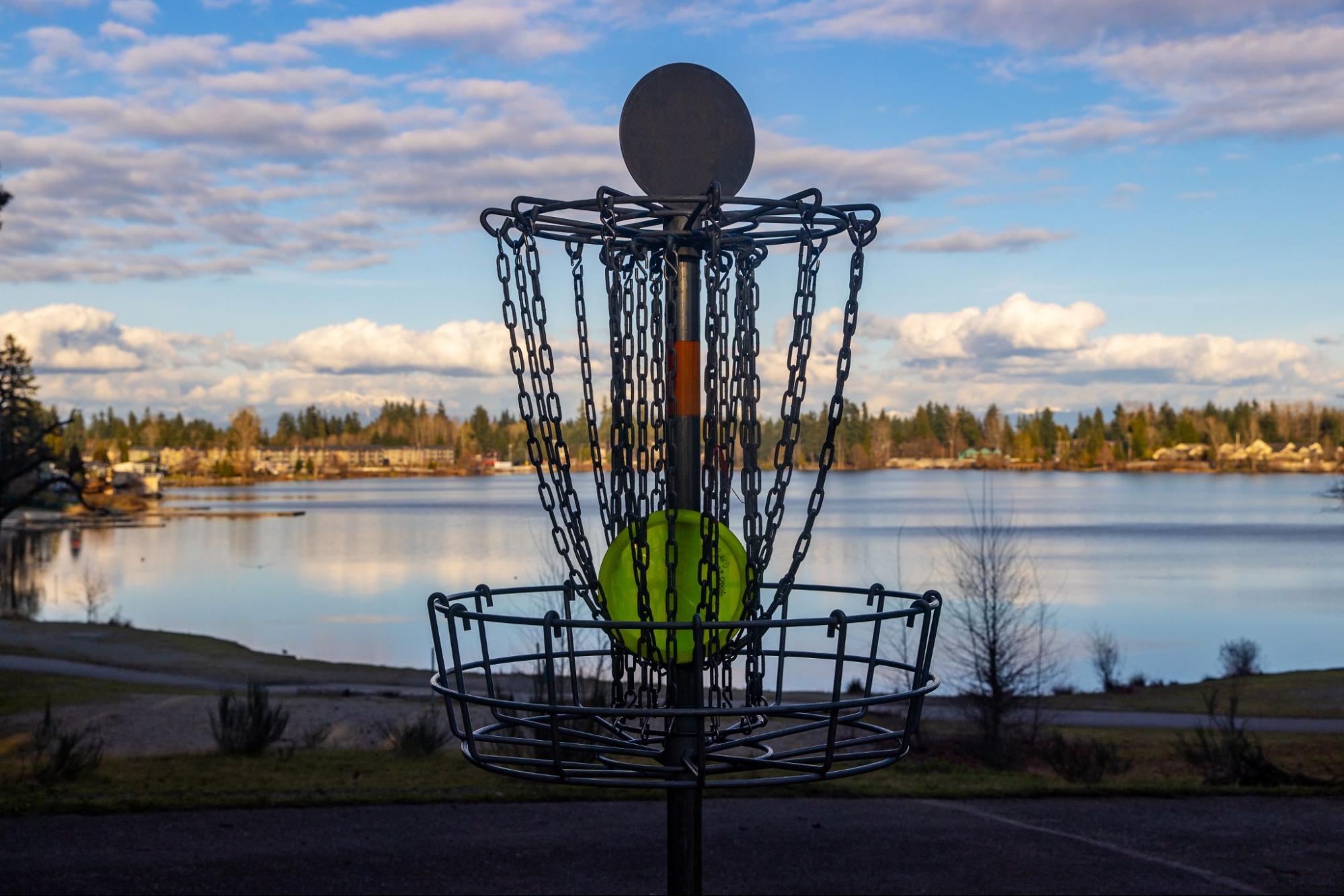 Master the Art of Throwing Disc Golf: Strategies and Tips for Beginners ...