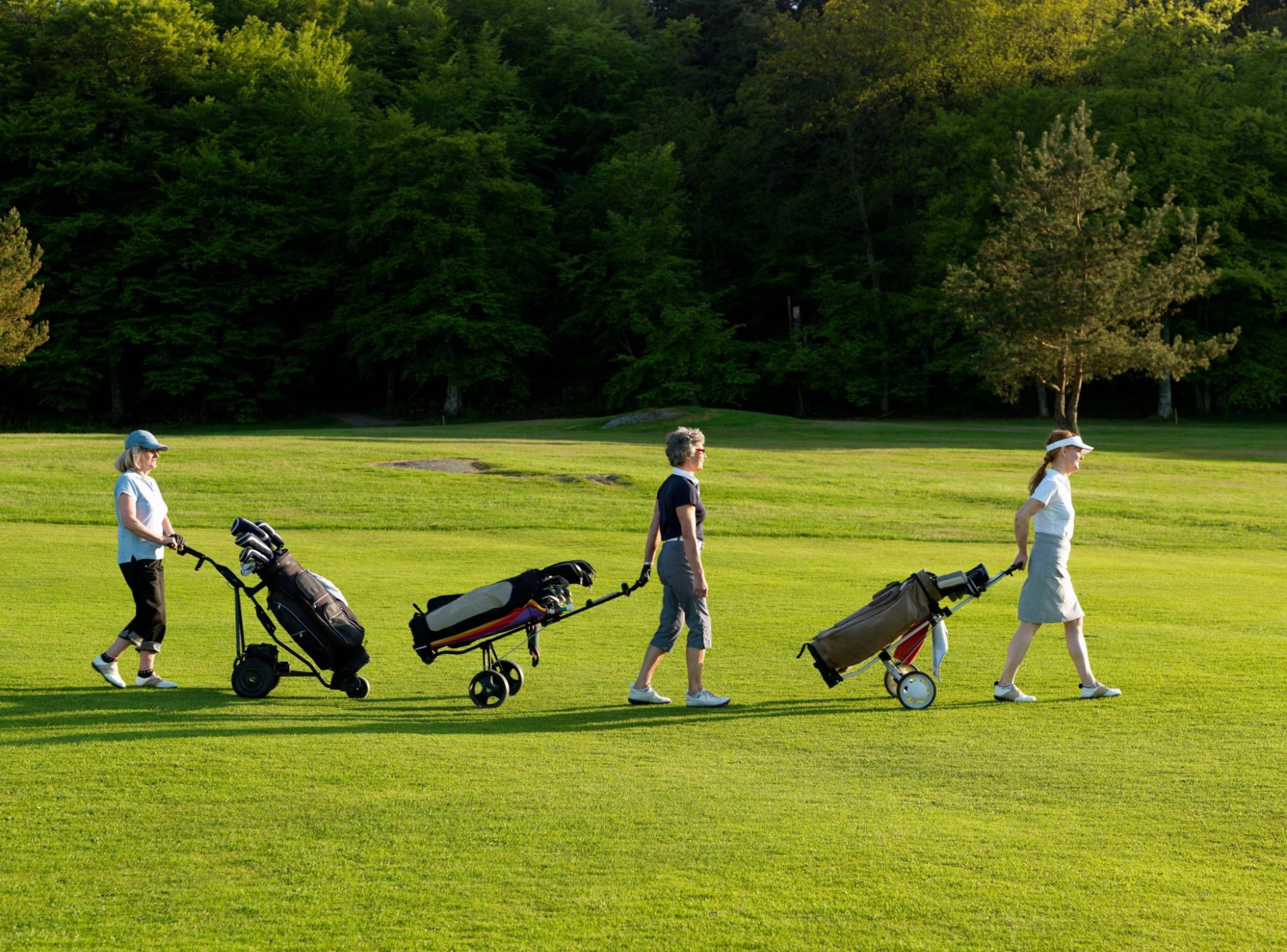 What is a Fairway in Golf - Golfer Start